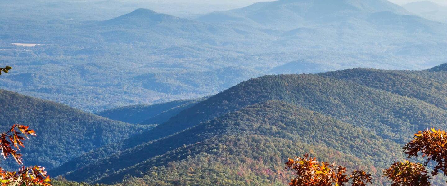 Cherokee County Races - Fleet Feet Canton