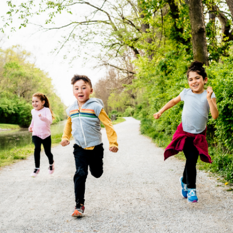 Fleet Feet Sports Madison & Sun Prairie - Running, Walking, Triathlon