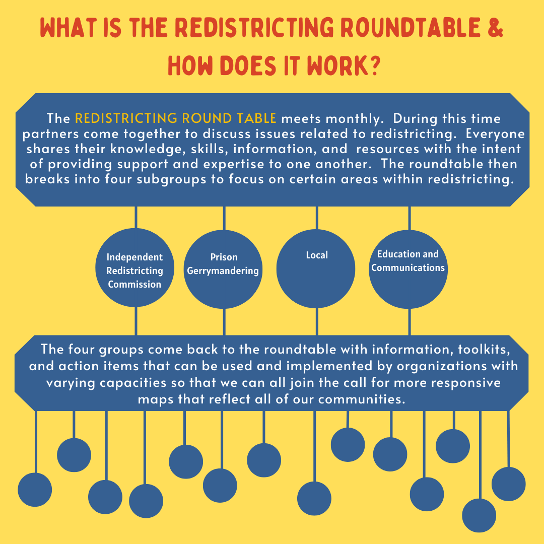 Civic Engagement & Representation - N.C. Counts Coalition