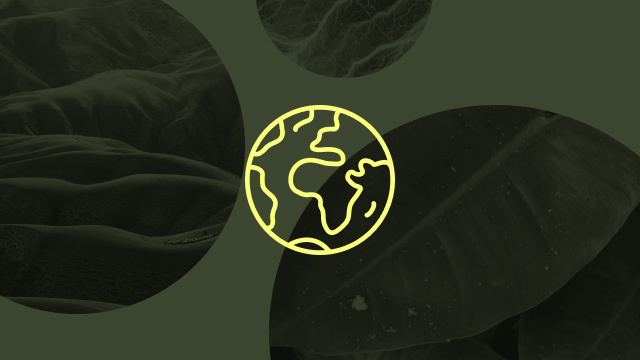 Examples of Environmental Nonprofit Website Designs