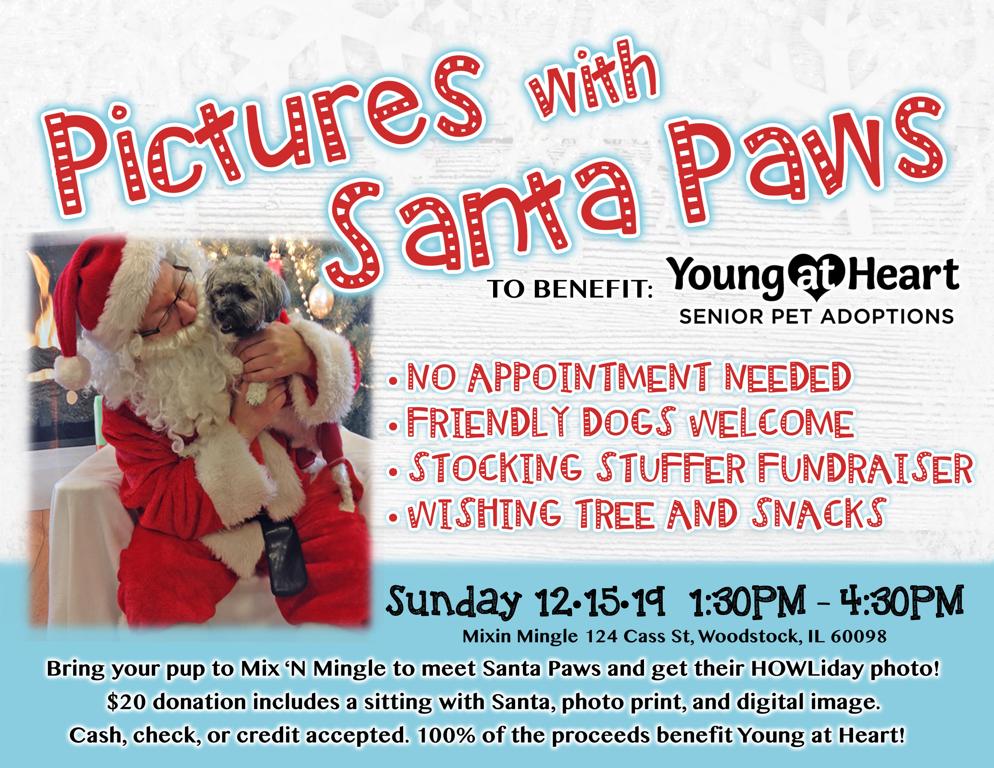 Pictures with Santa Paws - Young At Heart